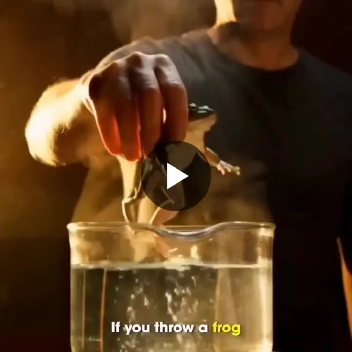 The frog in boiling water